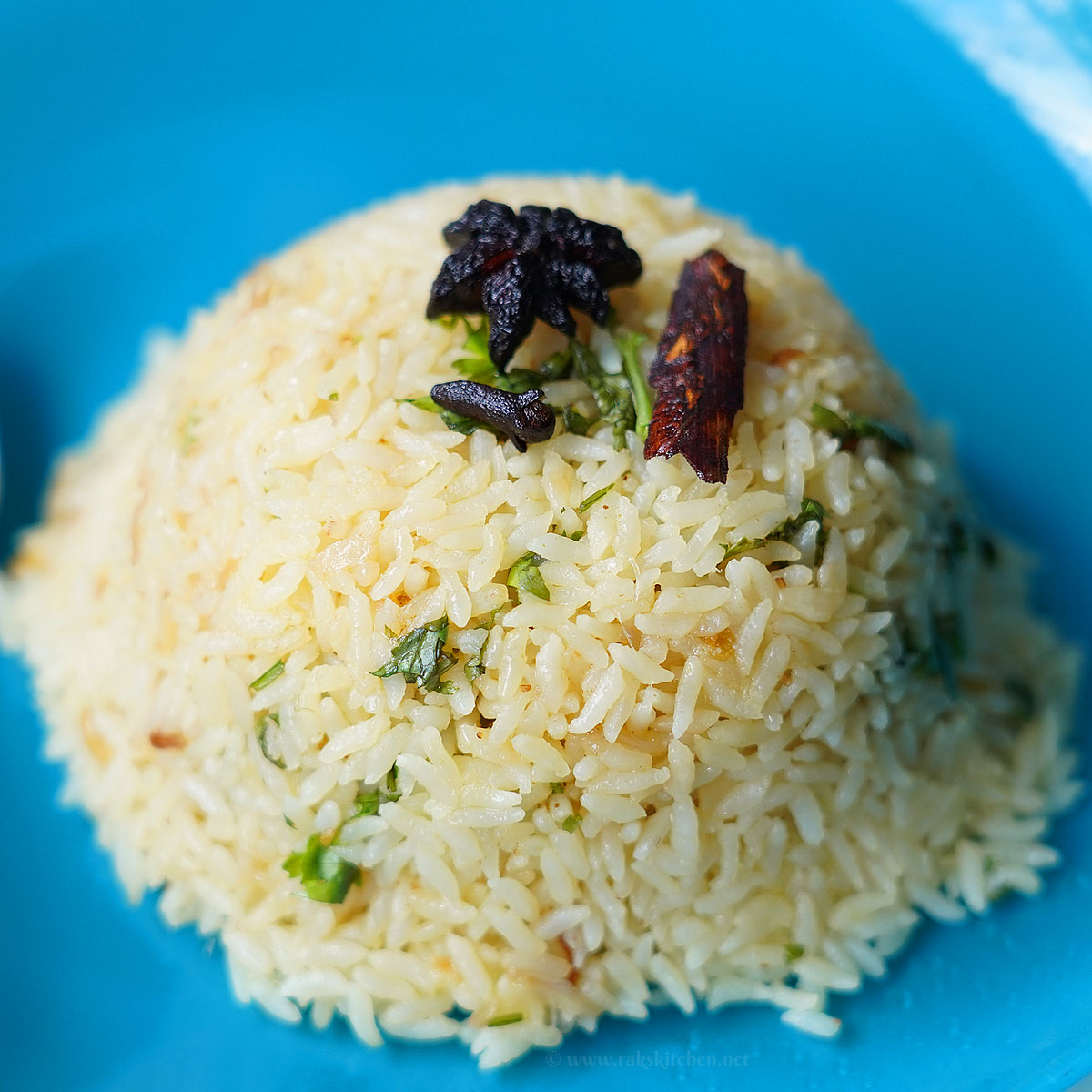 Raks Kitchen | Indian vegetarian recipes & Global cuisine food blog